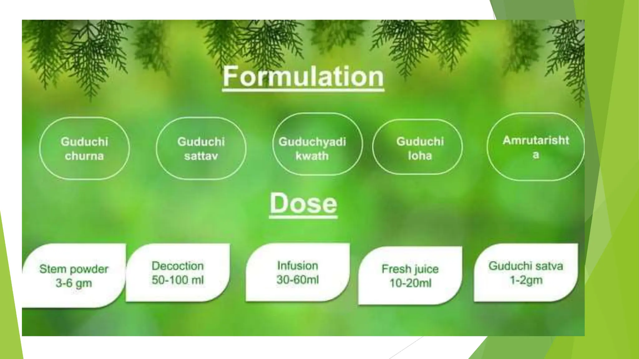 Guduchi.pptx dravya guna ayurveda drug gd | PPTX