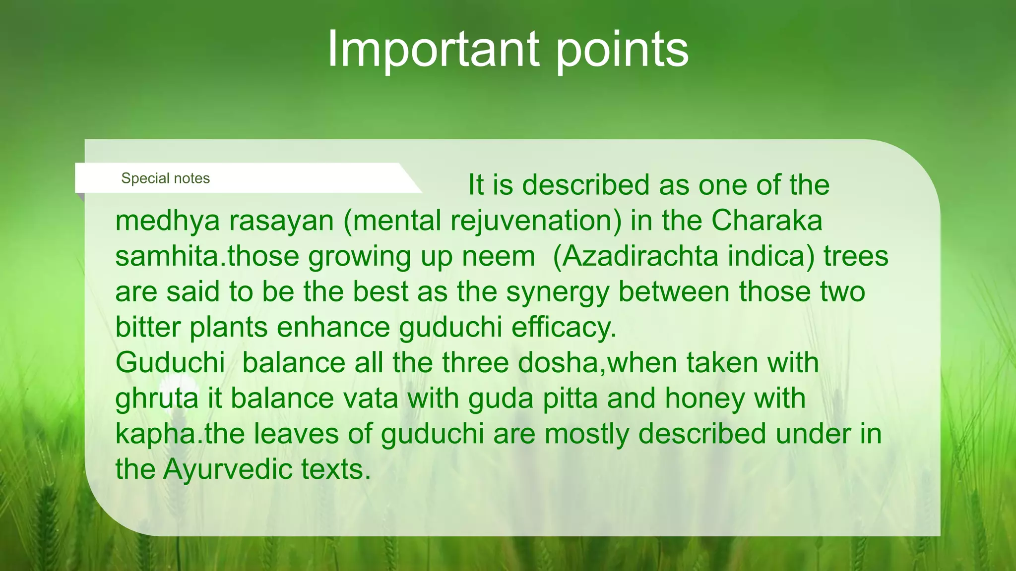 Guduchi plant | PPTX