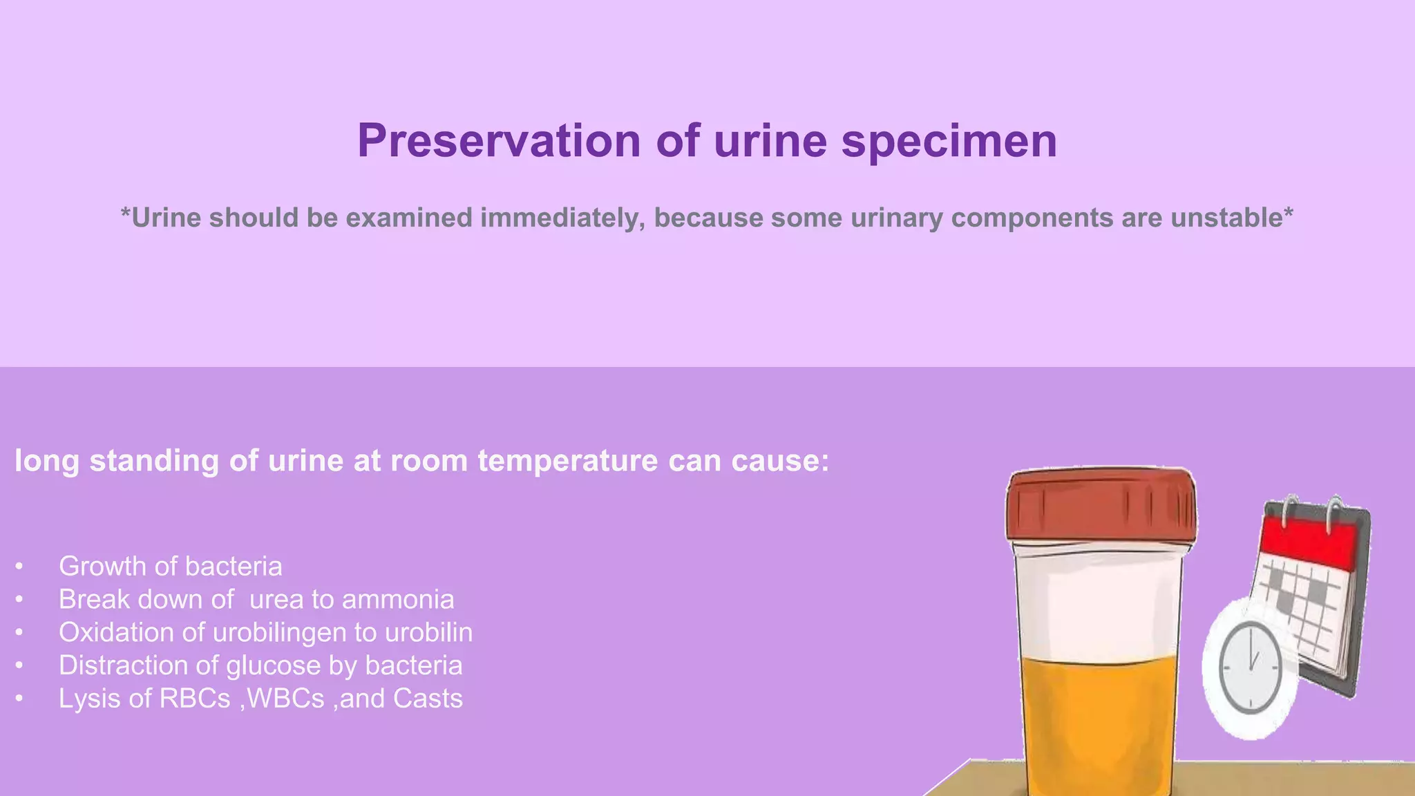 General Urine Examination | PPT