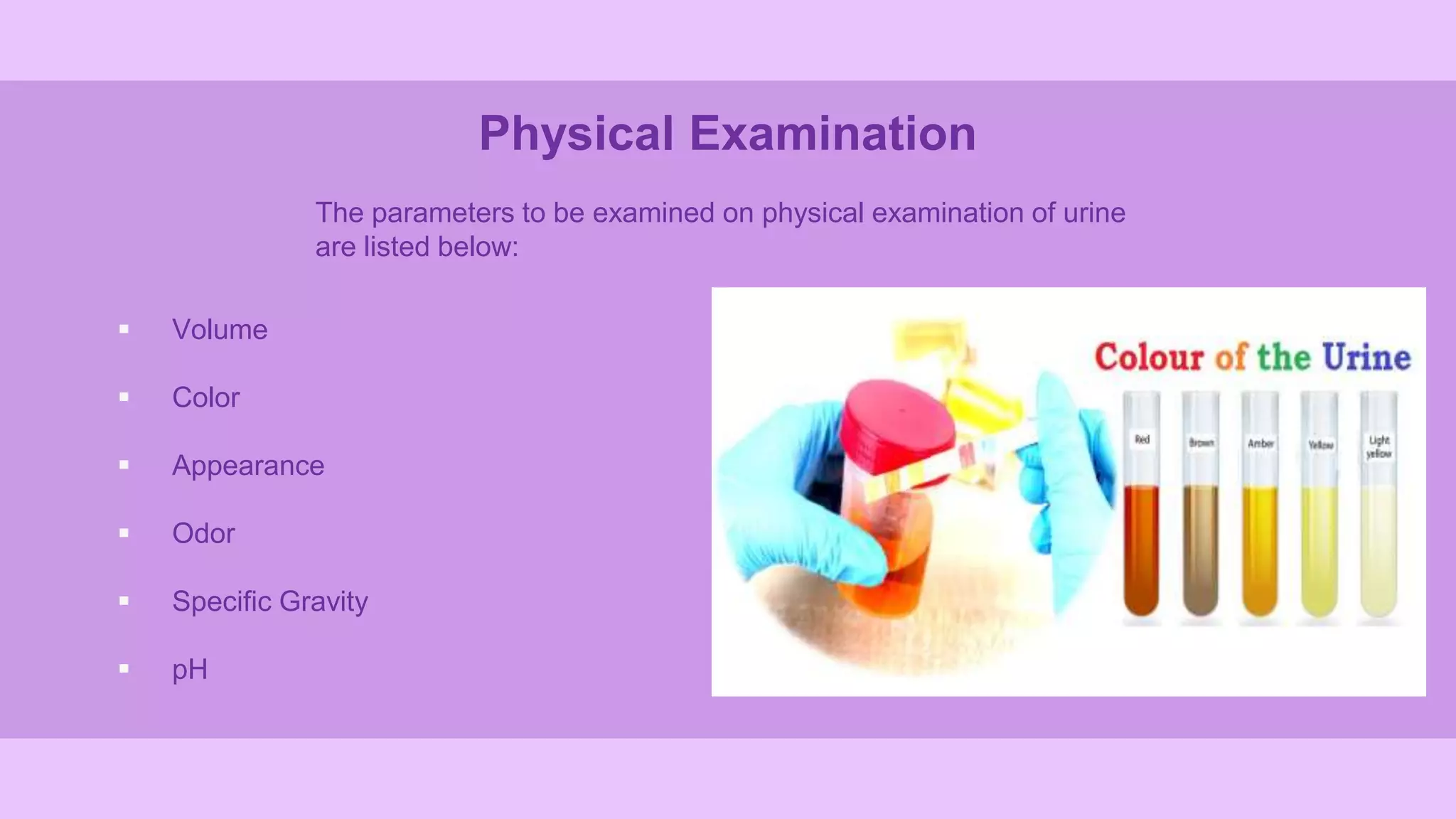 General Urine Examination | PPT