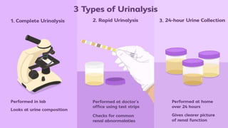General Urine Examination | PPT