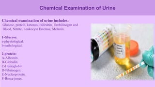General Urine Examination | PPT