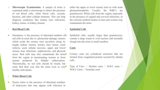 General Urine Examination (GUE) or Urinalysis | PPTX