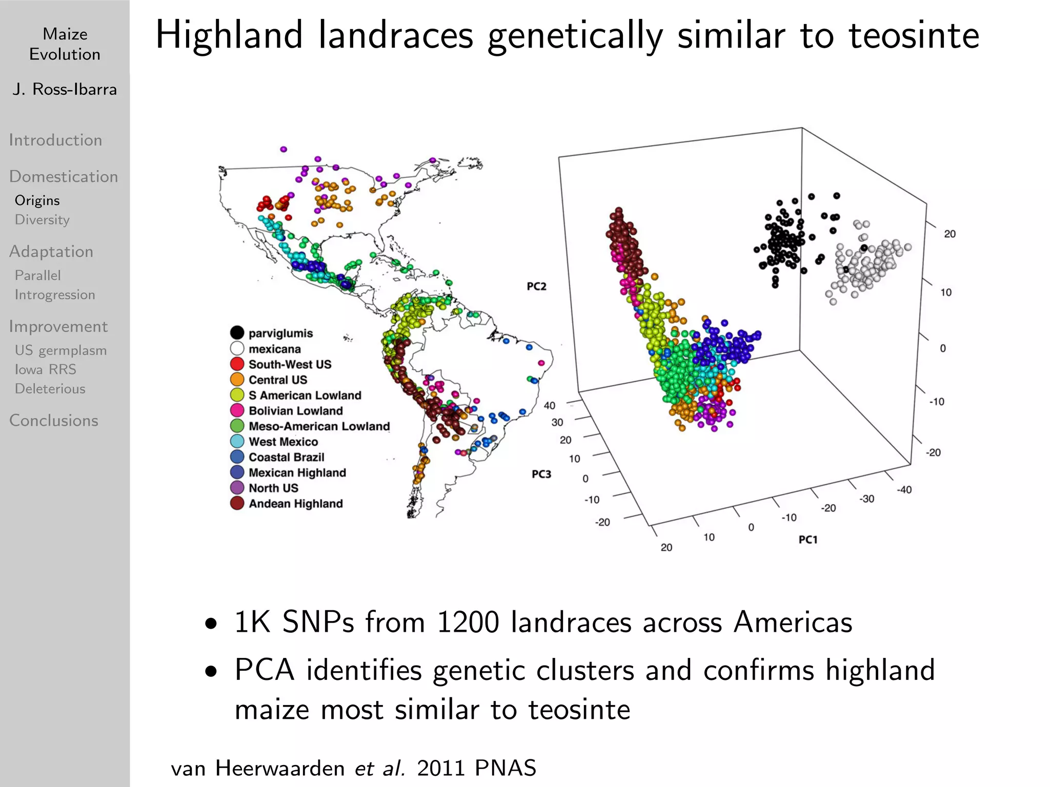 Population Genetics Of Maize Domestication Adaptation And Improvement