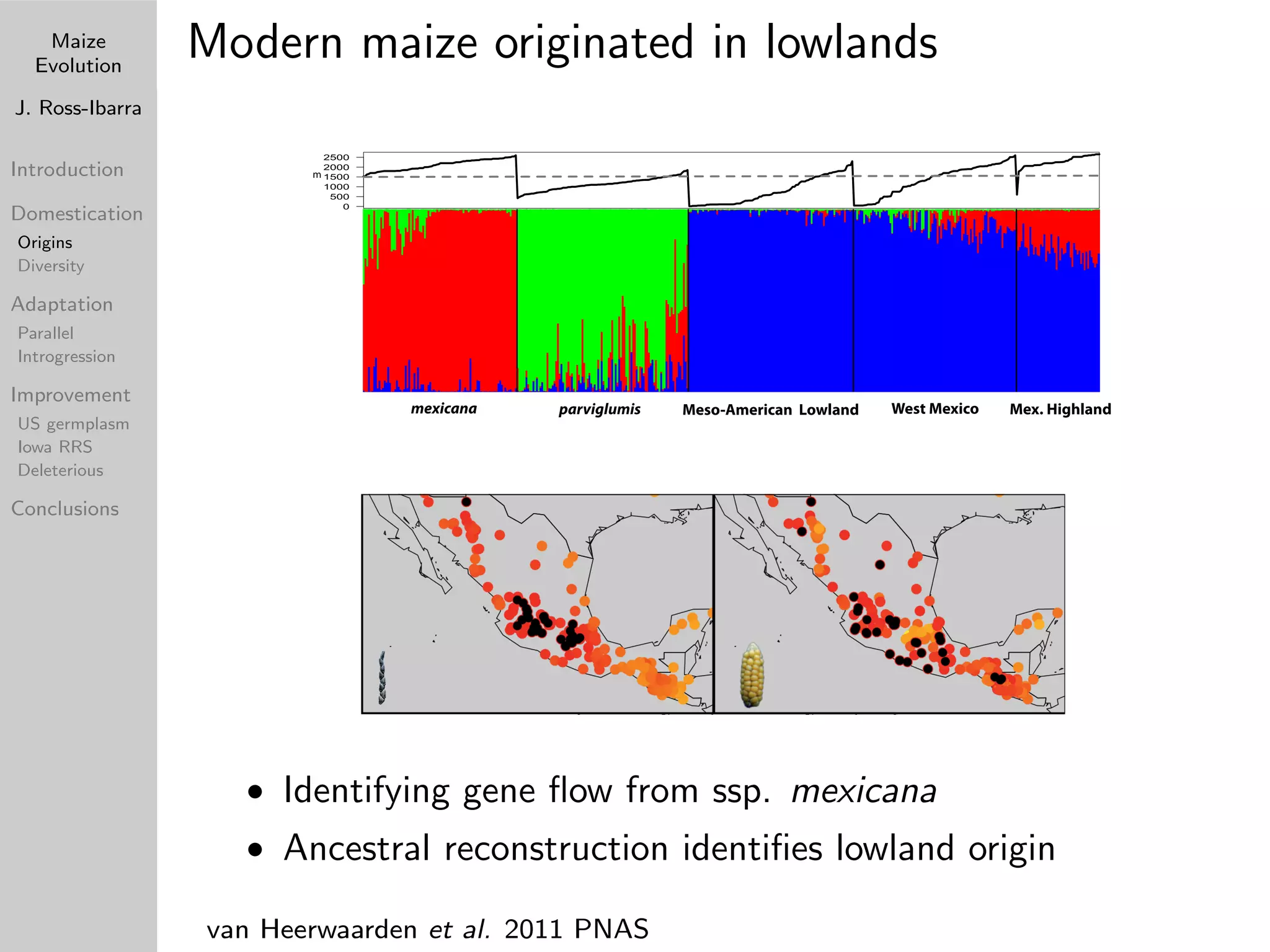 Population Genetics Of Maize Domestication Adaptation And Improvement