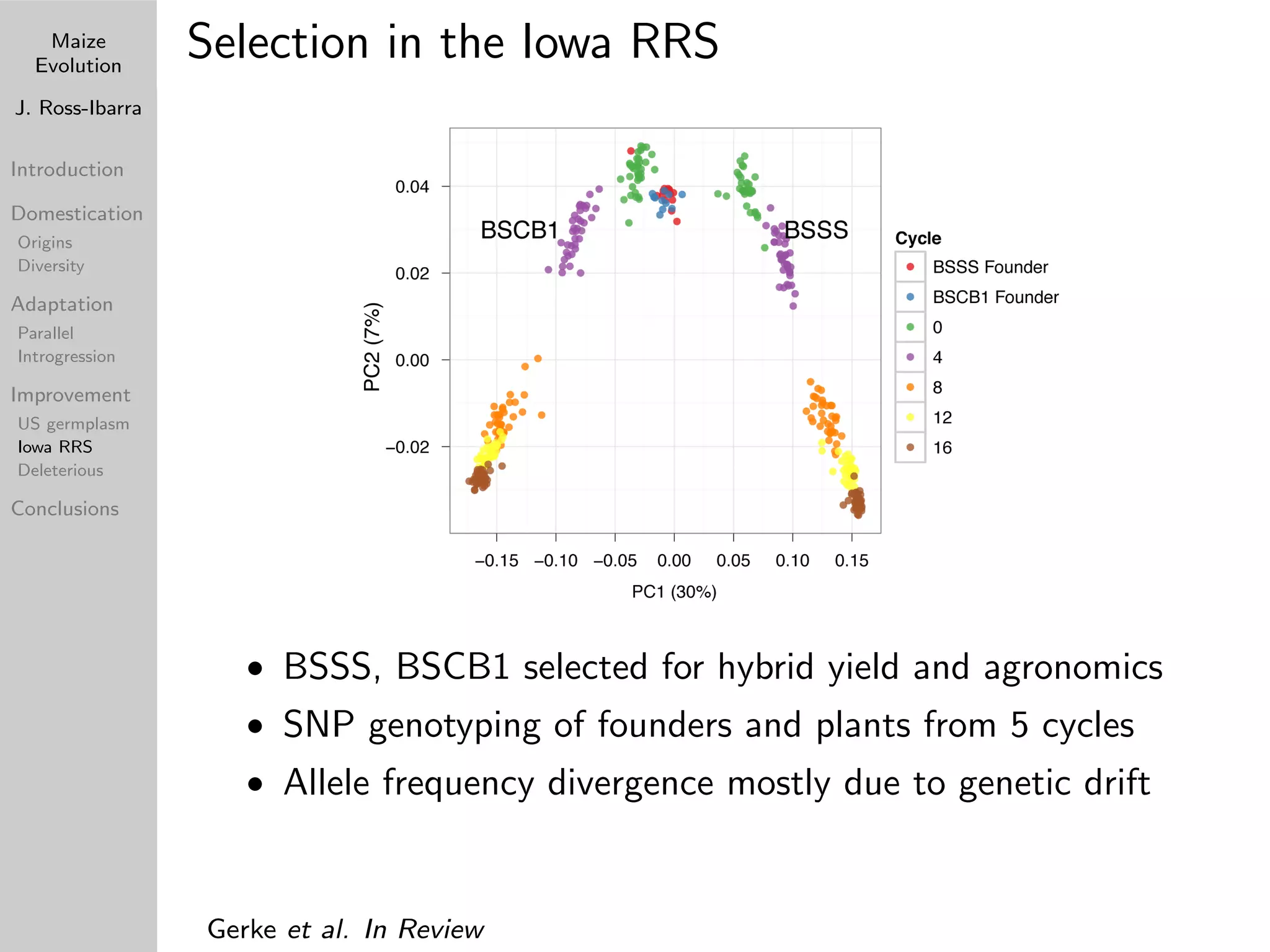 Population Genetics Of Maize Domestication Adaptation And Improvement