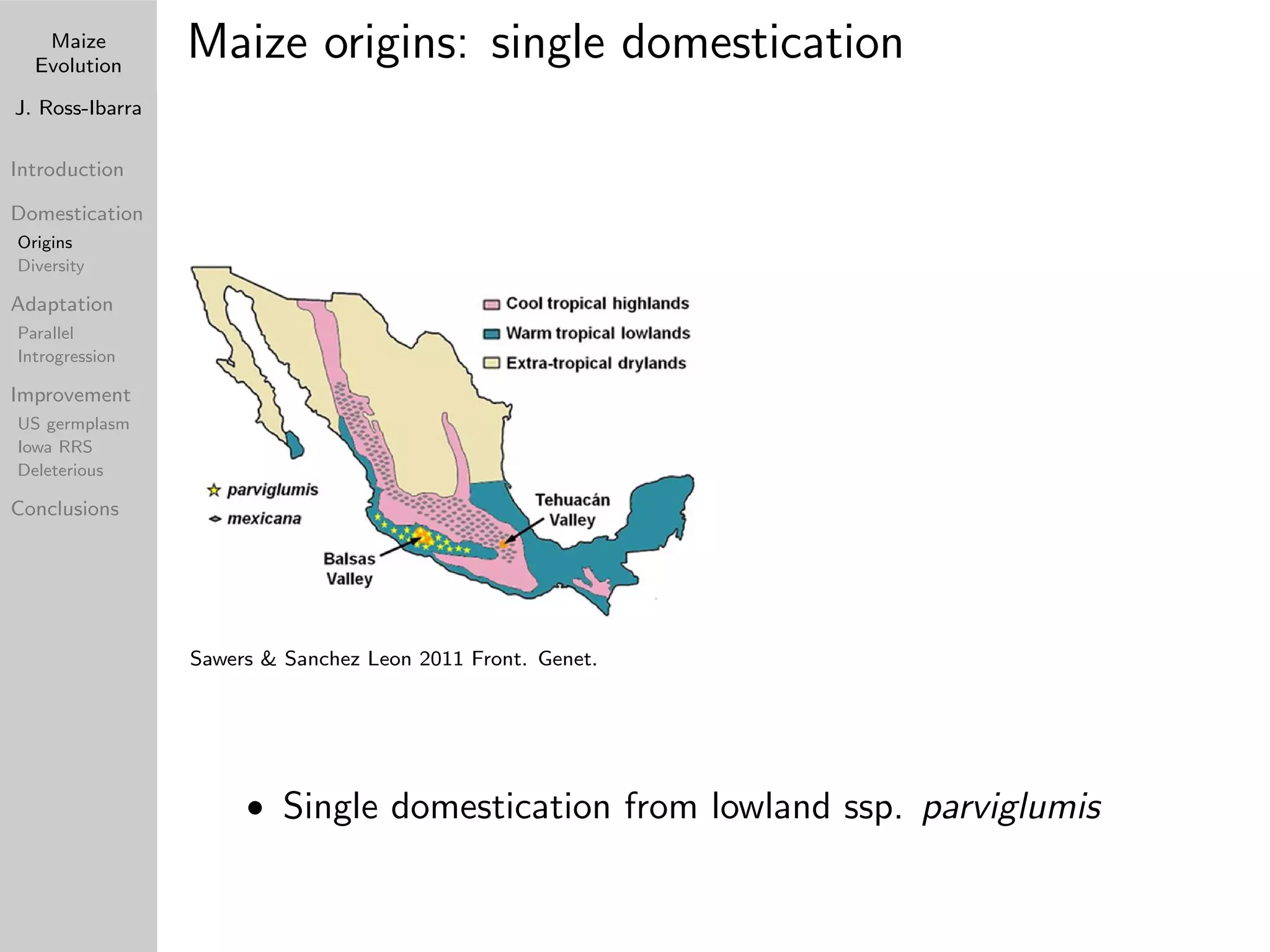 Population Genetics Of Maize Domestication Adaptation And Improvement