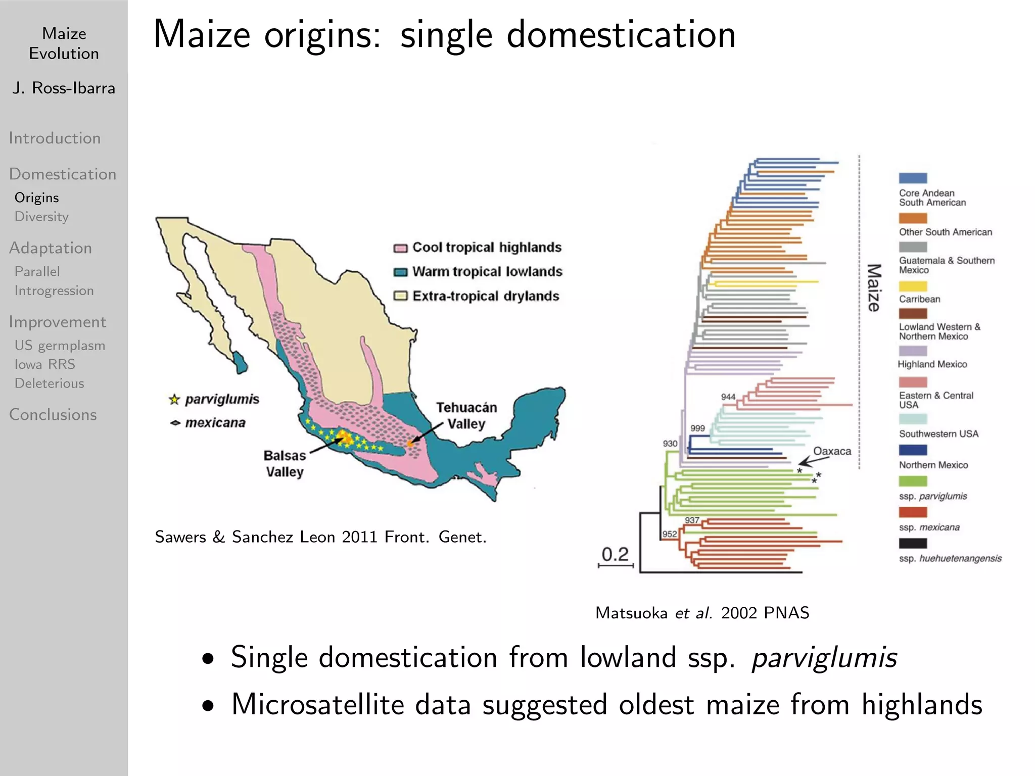 Population Genetics Of Maize Domestication Adaptation And Improvement