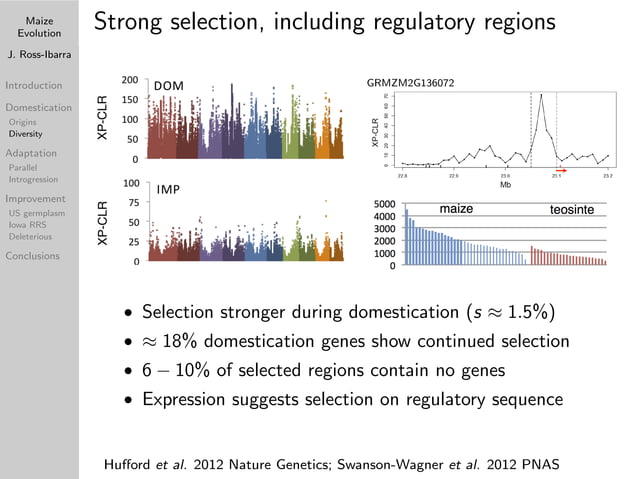 Population Genetics Of Maize Domestication Adaptation And Improvement