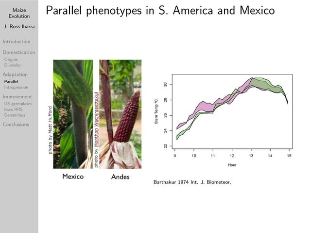 Population genetics of maize domestication, adaptation, and improvement ...