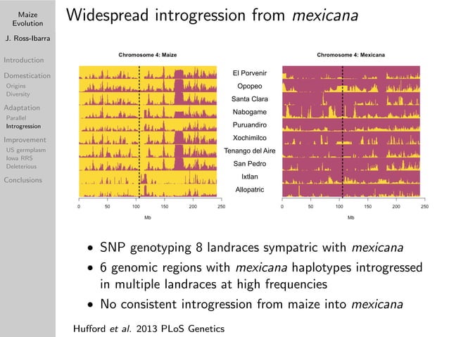 Population Genetics Of Maize Domestication Adaptation And Improvement