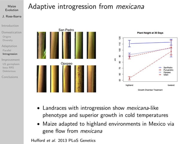 Population Genetics Of Maize Domestication Adaptation And Improvement