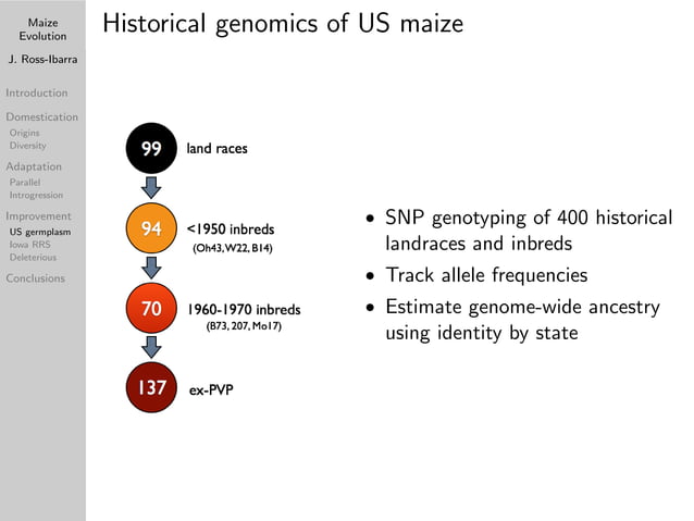 Population genetics of maize domestication, adaptation, and improvement ...