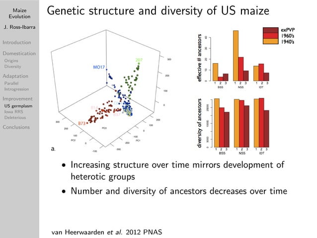 Population Genetics Of Maize Domestication Adaptation And Improvement