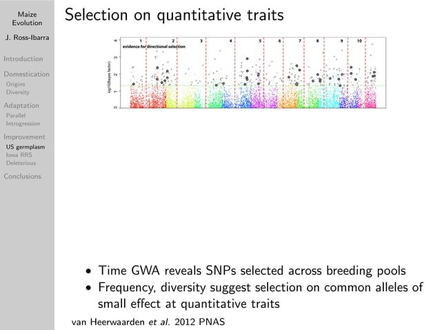 Population Genetics Of Maize Domestication Adaptation And Improvement