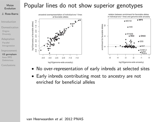 Population Genetics Of Maize Domestication Adaptation And Improvement