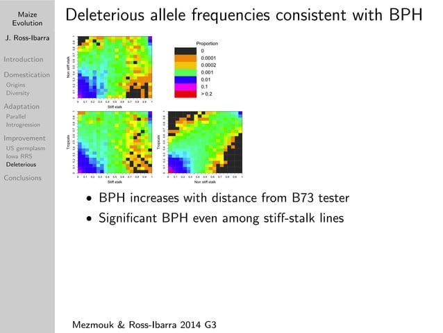 Population Genetics Of Maize Domestication Adaptation And Improvement