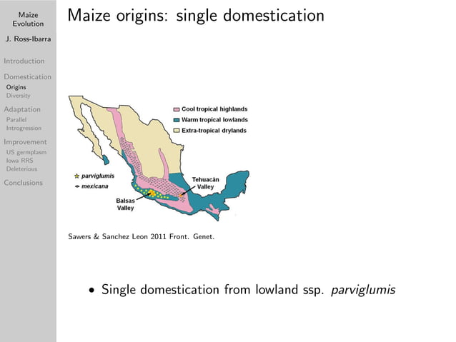 Population genetics of maize domestication, adaptation, and improvement | PDF