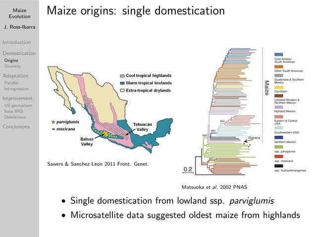 Population genetics of maize domestication, adaptation, and improvement ...