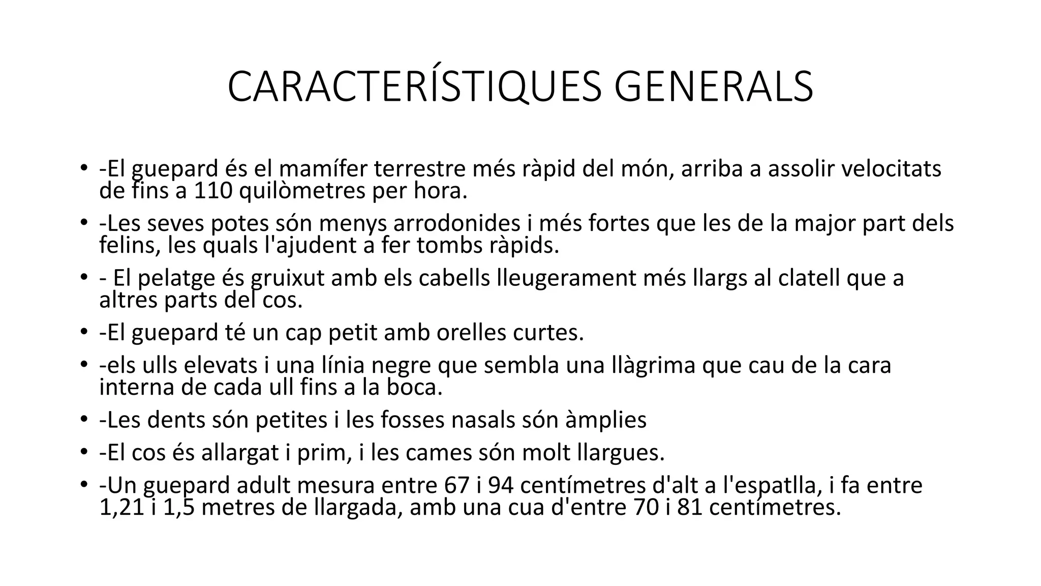 Guepard (acinonyx jubatus) | PPTX