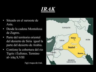 Guerra de irak | PPTX