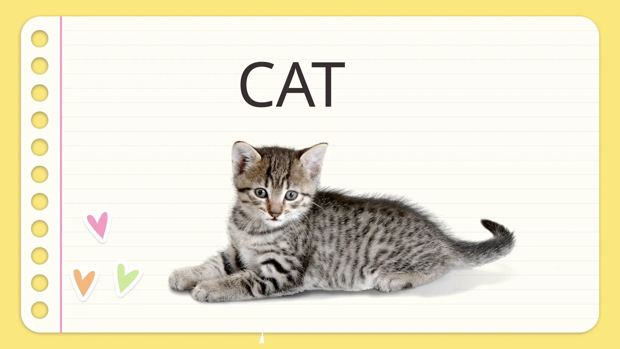 guess-the-animals_education for early english learner | PPT