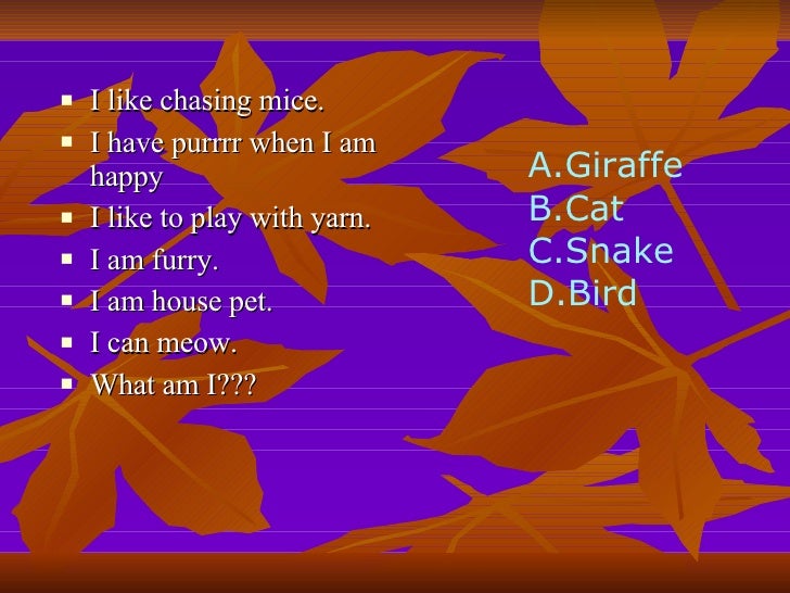 Guess Which Animal I Am guess-which-animal-i-am