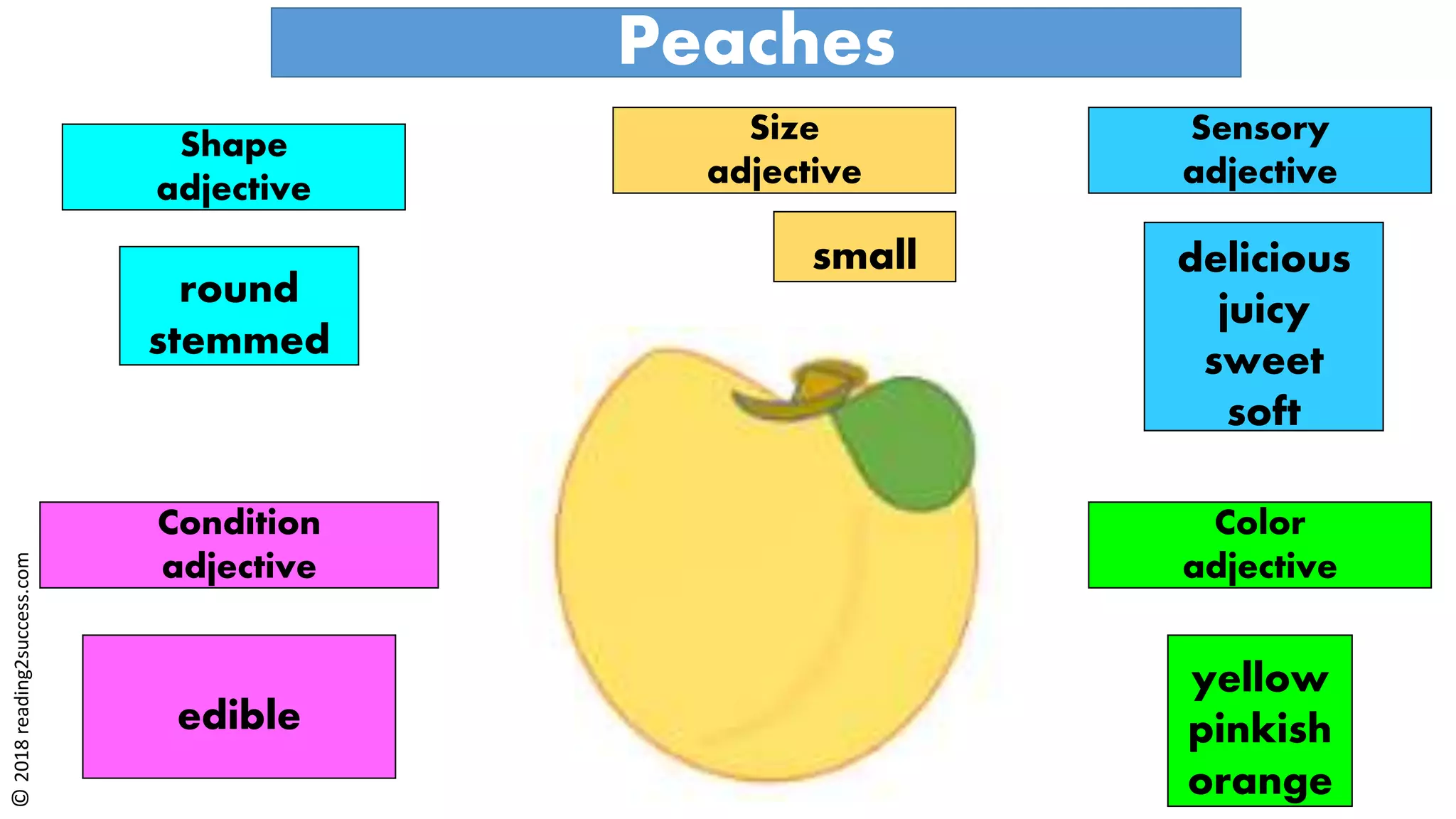 Sensory,shape, size, condition, and color adjectives used to describe ...