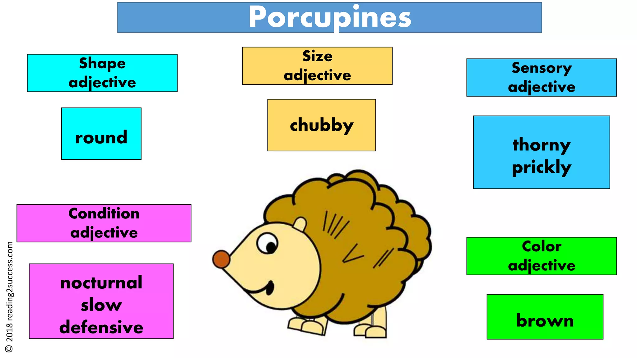 Sensory,shape, size, condition, and color adjectives used to describe ...