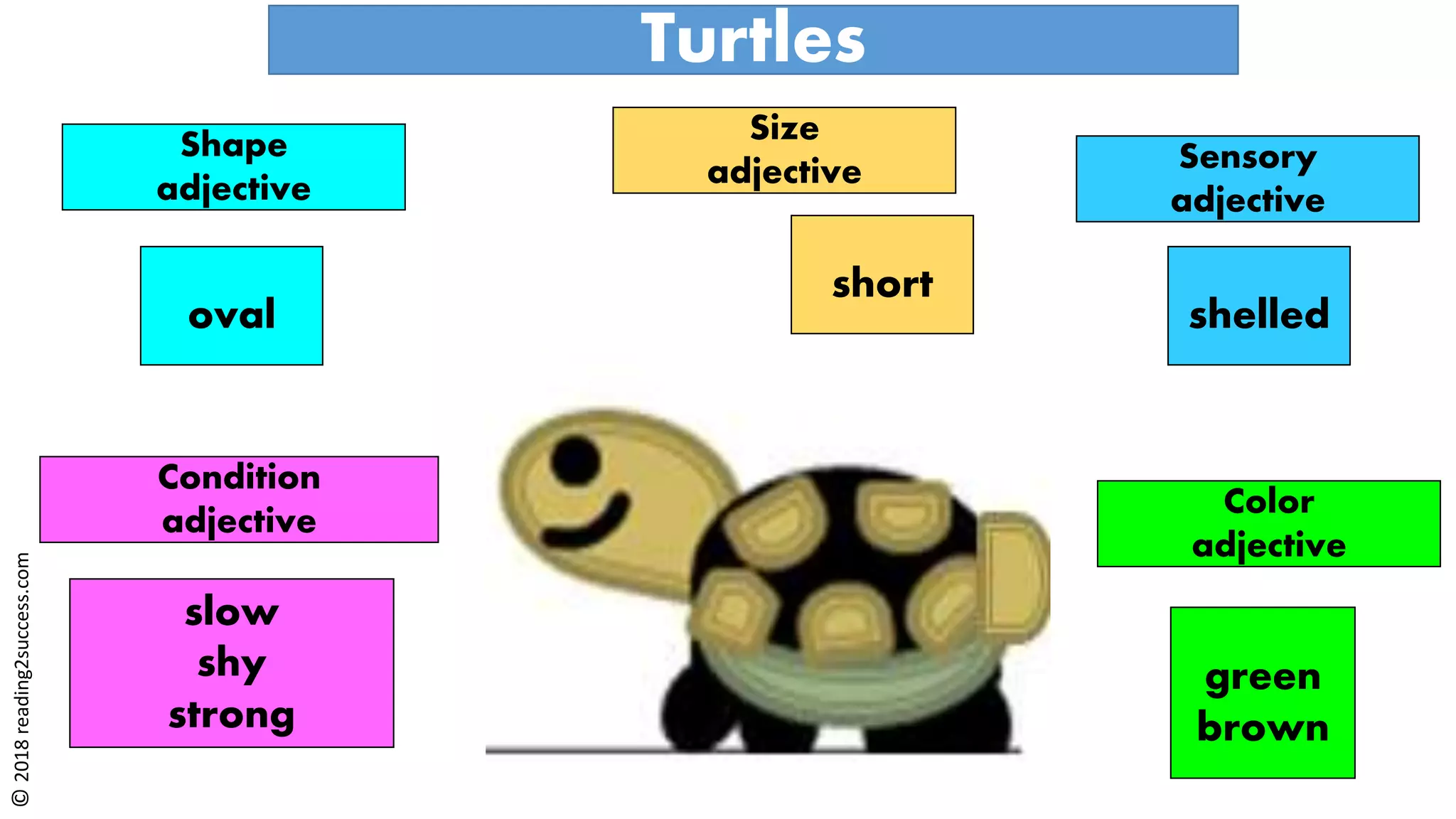 Sensory,shape, size, condition, and color adjectives used to describe ...