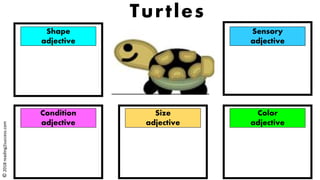 Sensory,shape, size, condition, and color adjectives used to describe ...