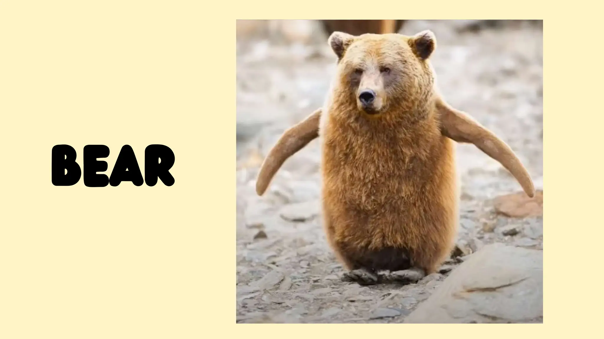 Guess the hybrid animal part 2.pptx