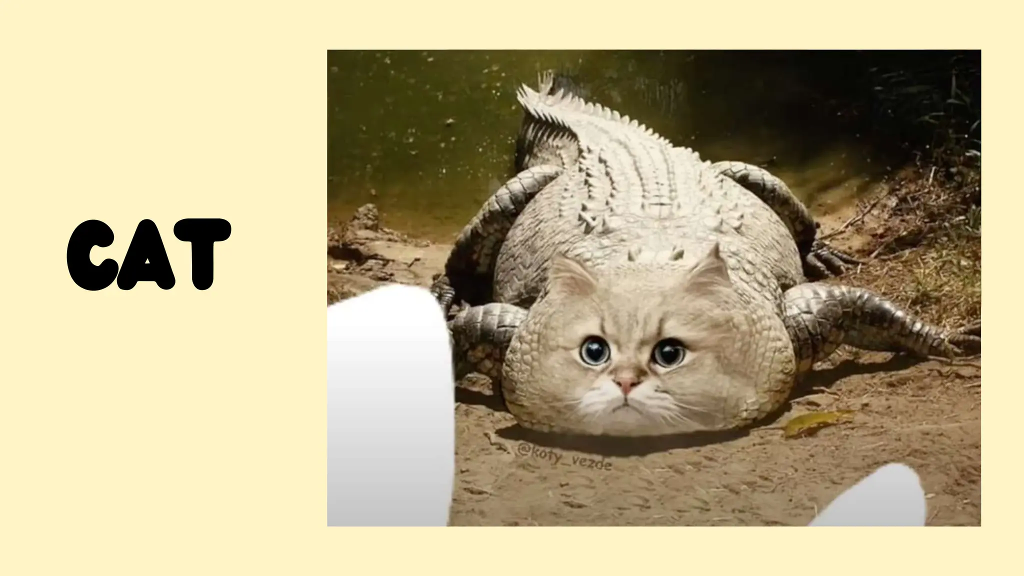 Guess the hybrid animal part 2.pptx