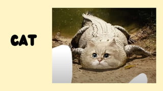 Guess the hybrid animal part 2.pptx