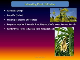 Basic Concepts in Plant Science (Intro of Botany) by Dr. M.R.Bhise | PPTX