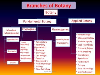 Basic Concepts in Plant Science (Intro of Botany) by Dr. M.R.Bhise | PPTX