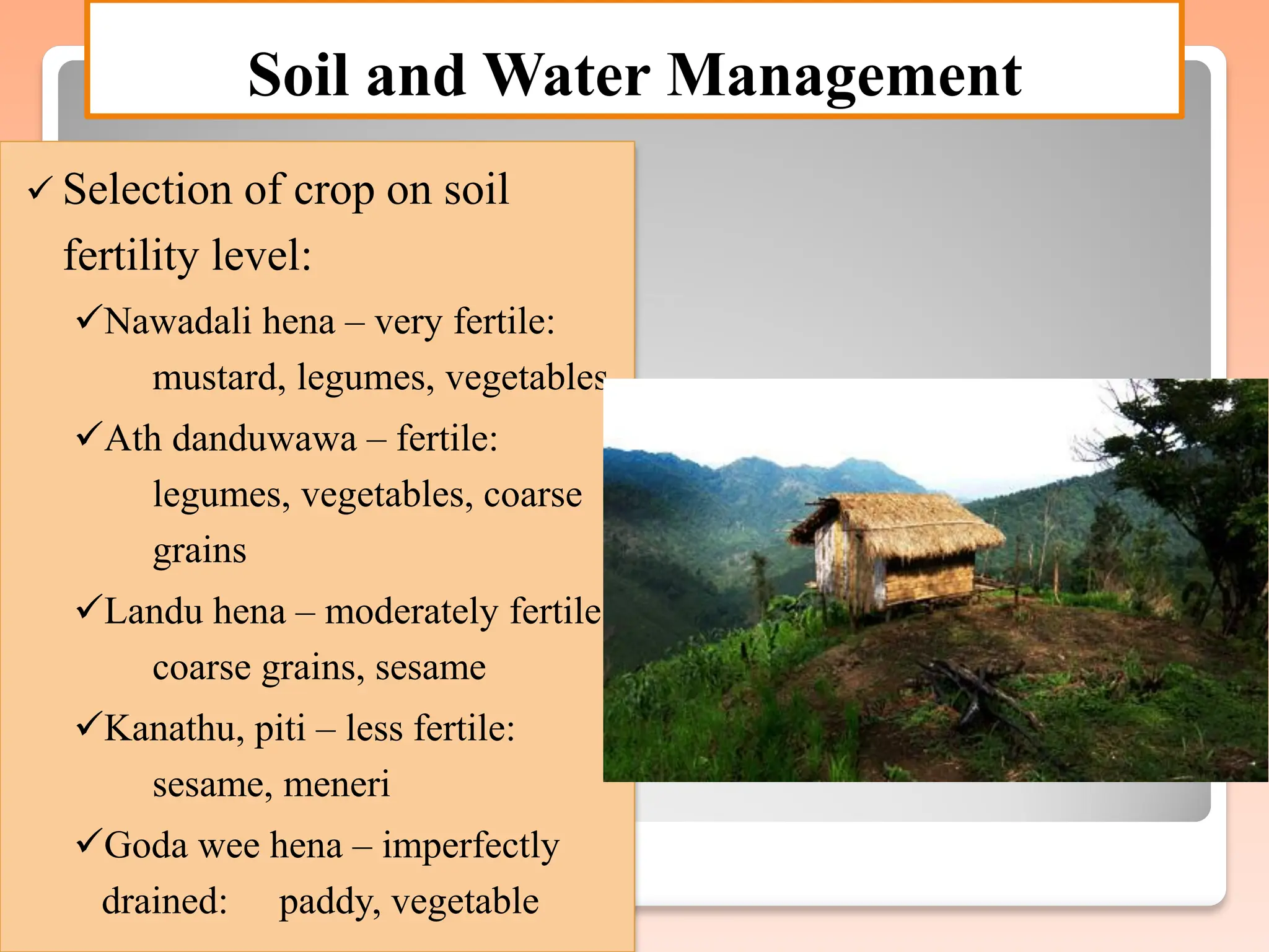 The present context of traditional agriculture | PDF