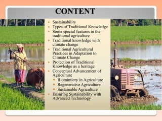 Sustainability of Traditional Agriculture | PDF