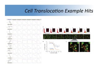 High Throughput, High Content Screening - Automating the Pipeline | PDF