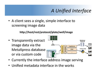High Throughput, High Content Screening - Automating the Pipeline | PDF