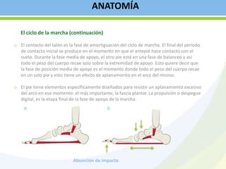 Guia abordaje-pie-doloroso-fascitis-plantar | PPTX