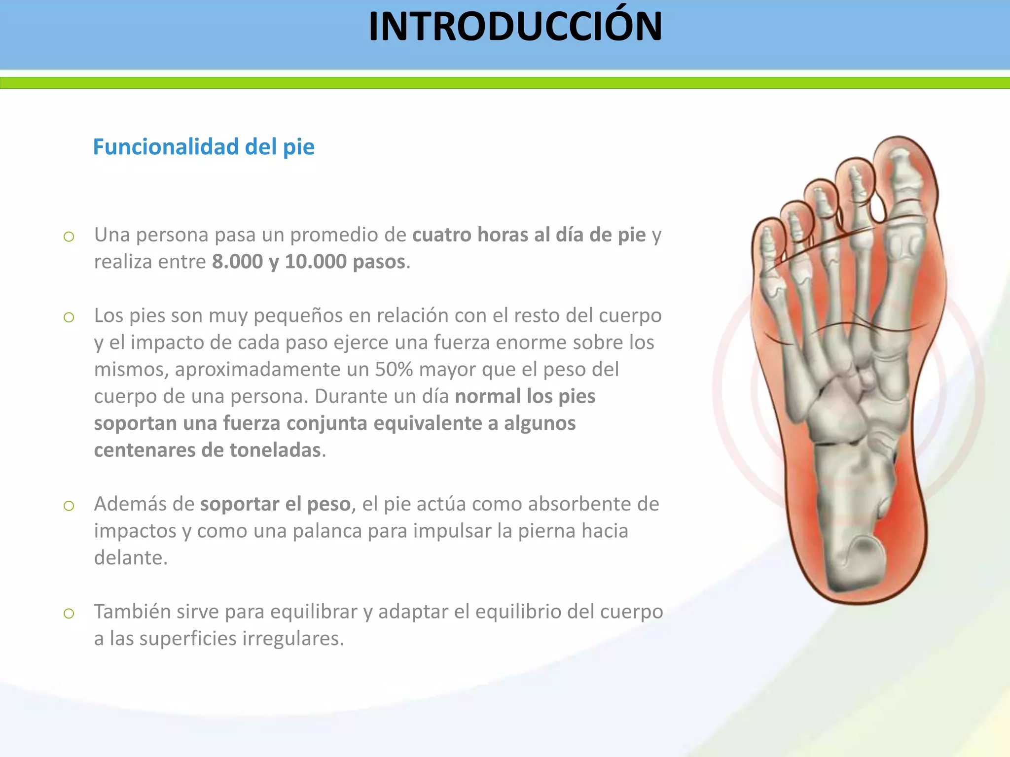 Guia abordaje-pie-doloroso-fascitis-plantar | PPT