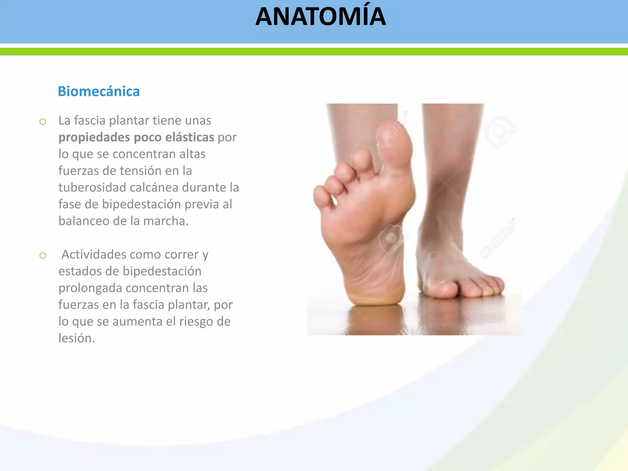 Guia abordaje-pie-doloroso-fascitis-plantar | PPT