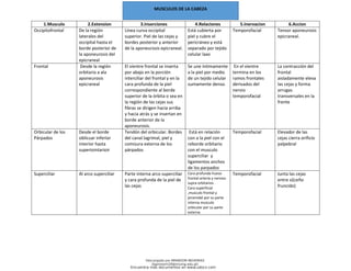 guia-de-anatomia-de--168228-downloadable-9263167.pdf
