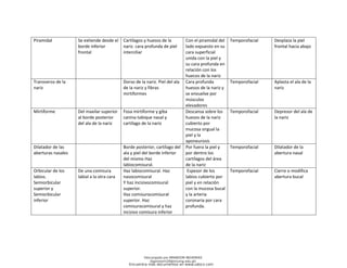 guia-de-anatomia-de--168228-downloadable-9263167.pdf