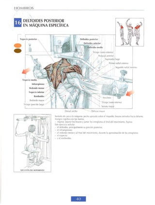 Guia de-los-movimientos-de-musculacion | PDF