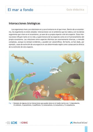 guia-didáctica-interacciones-biológicas (1).pdf