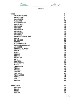 GUIA-Flora-y-Fauna.pdf