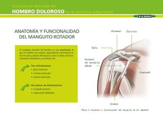 Guia hombro-doloroso-sindrome-subacromial[1] | PDF