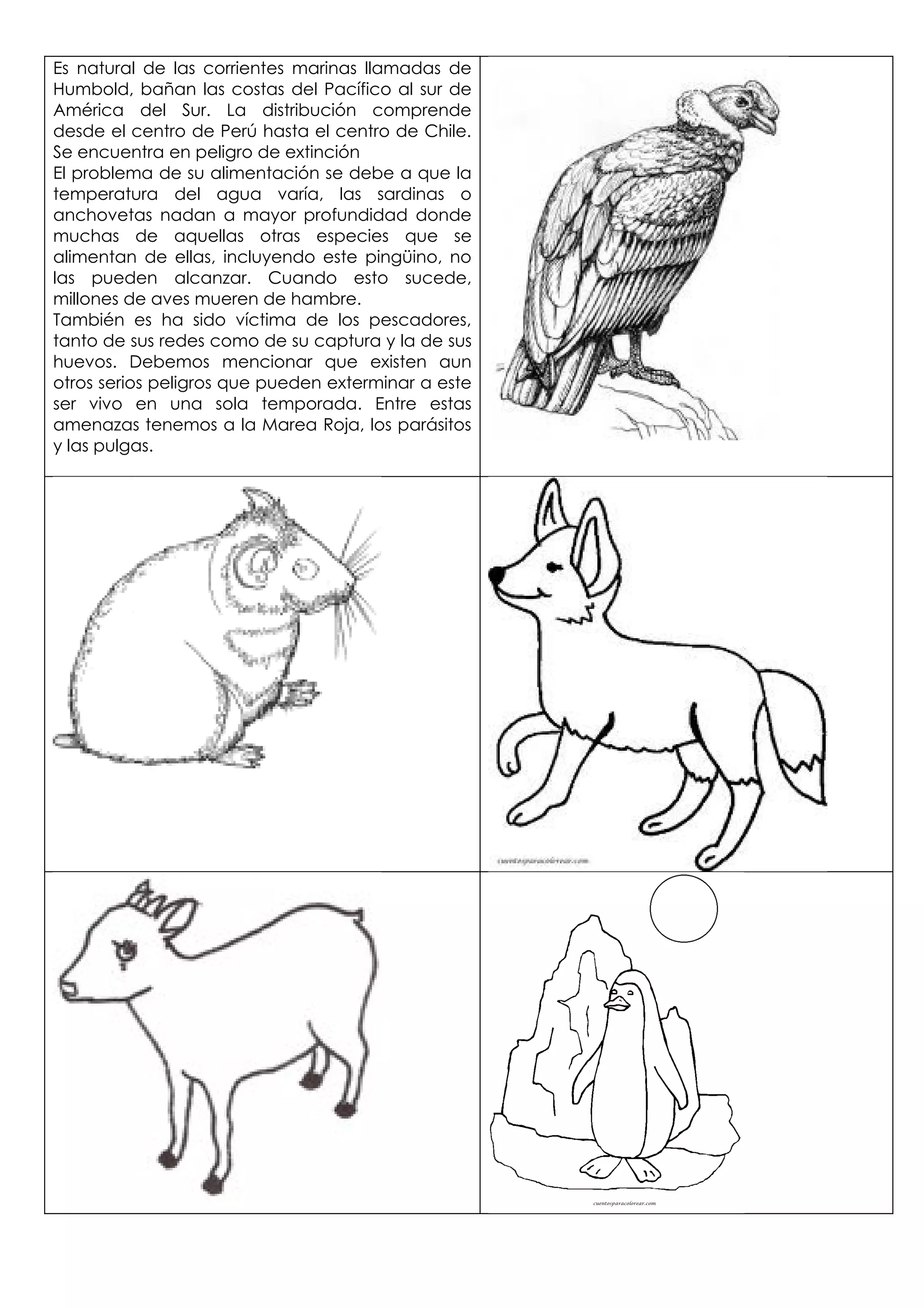 Guia los animales y su hábitat 2º básico | DOC